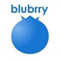 Blubrry Expands Leadership Team With MacKenzie Bennett, Dave Clements ...