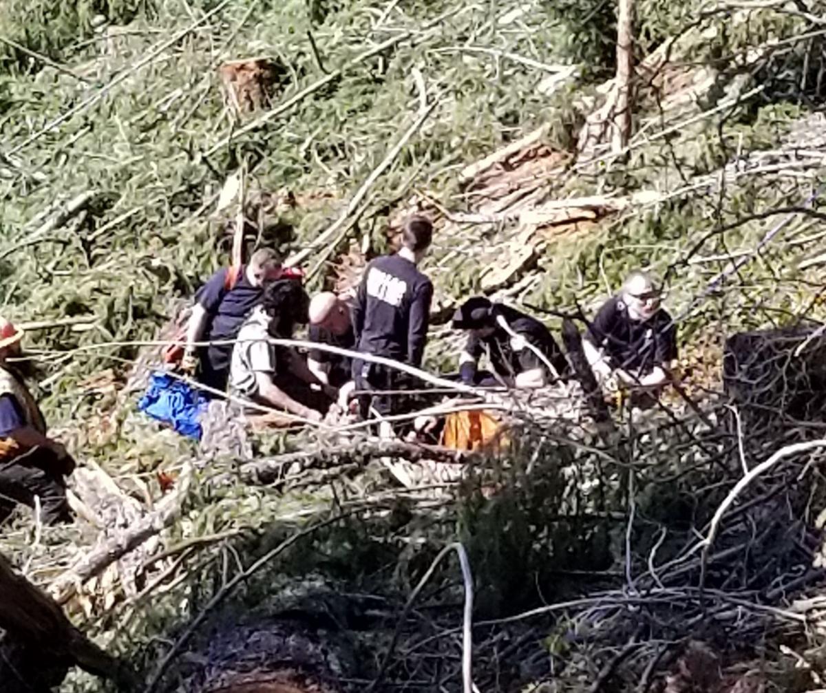 Logger suffers serious injury on job site | News | polkio.com