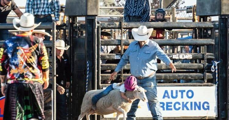 Expect fun for the whole herd at Polk County Fair | News | polkio.com