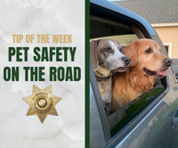Sheriff's Tip of the Week: Pet Safety on the Road | News | polkio.com