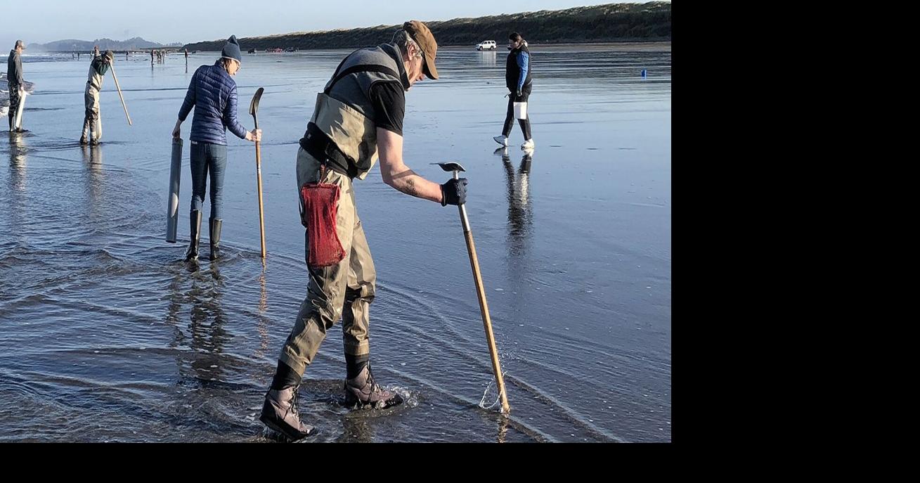 Central Coast closes for razor clam harvesting | Sports | polkio.com