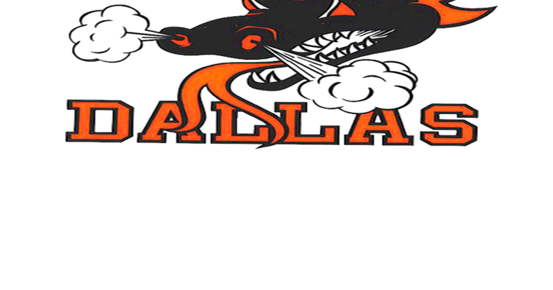 History of Dragons mascot to be examined | News | polkio.com