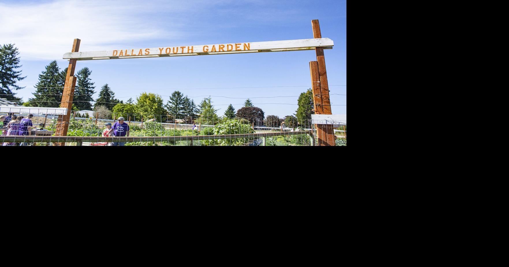 Dallas Youth Garden overcomes pandemic, extreme climate for successful ...