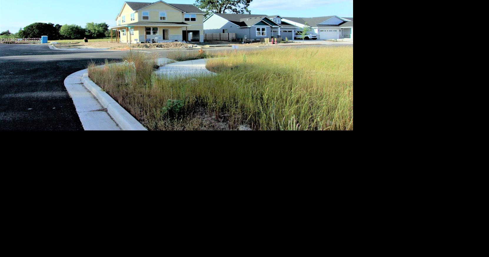 Brandy Meadows subdivision jeopardized by conflict over vote on traffic ...