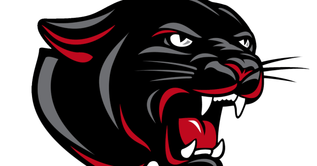 Central Roundup: Panthers’ boys battle competition, illness | Sports ...