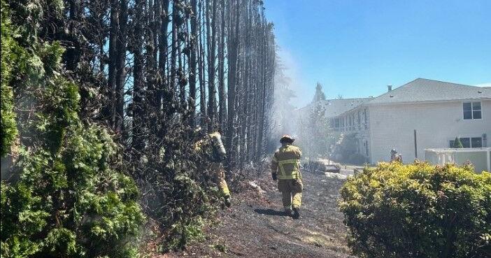 Dallas Fire & EMS extinguishes shrub fire at retirement village | News ...