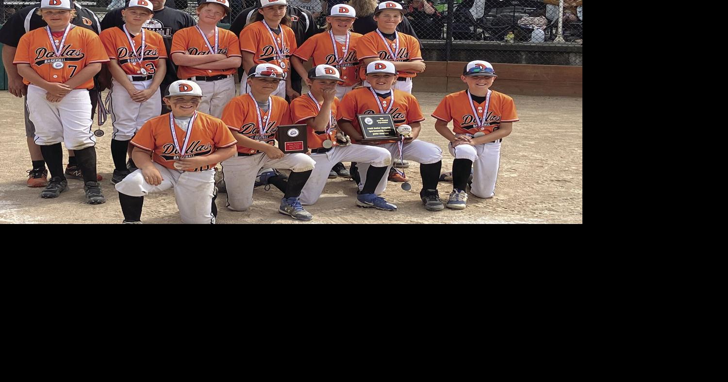 Youth baseball teams blaze their way through into state tourneys ...