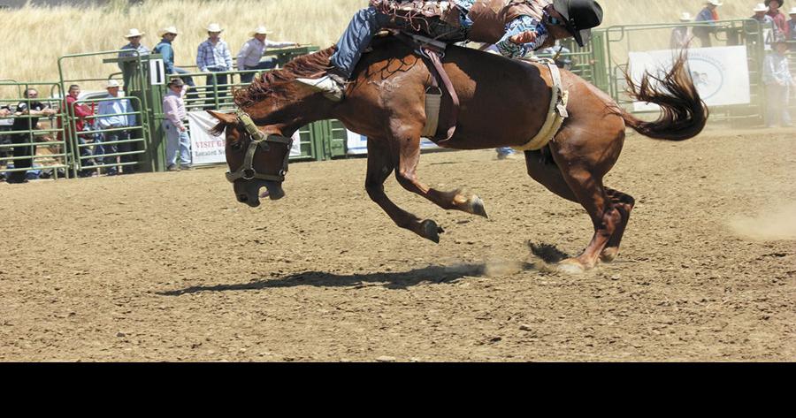Photo gallery: Spirit Mountain Stampede in Grand Ronde | News | polkio.com
