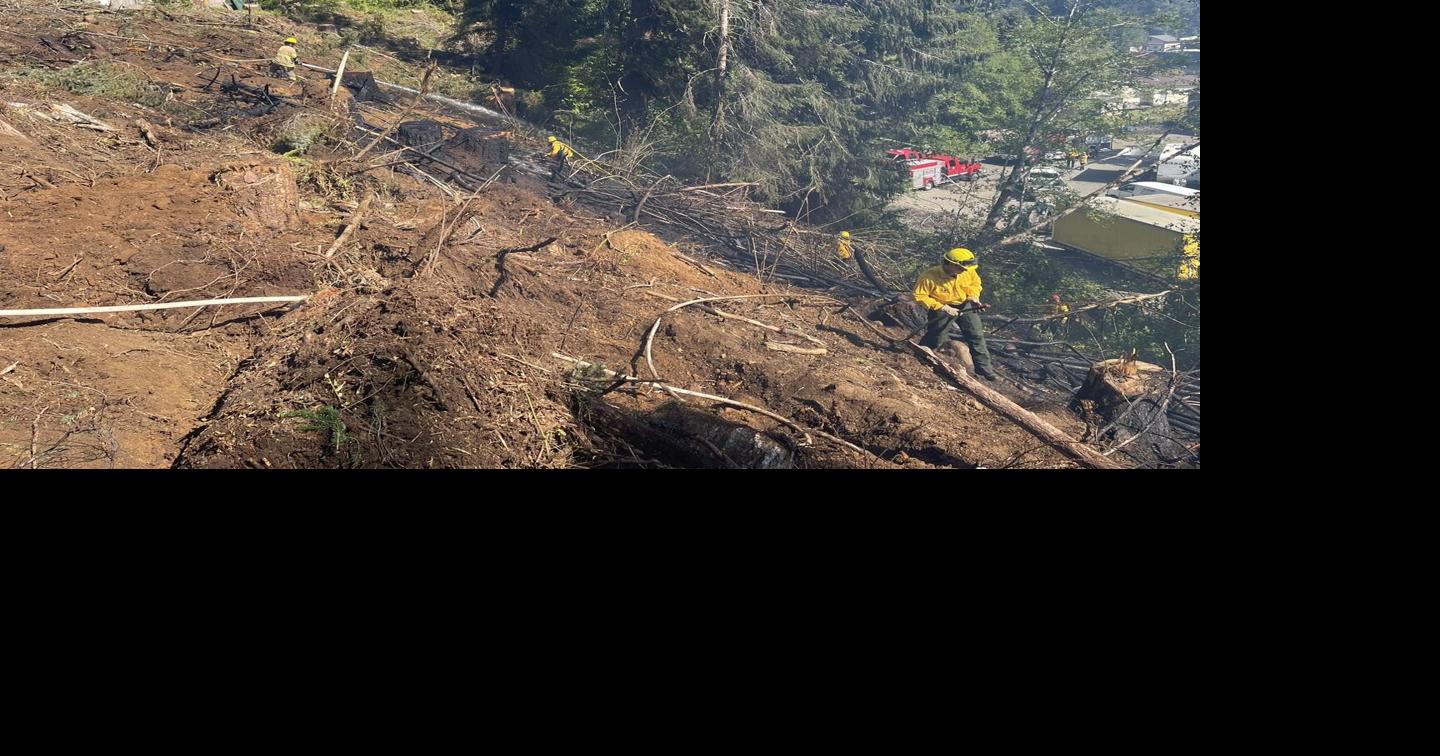 A close look at the 2024 wildfire season | News | polkio.com