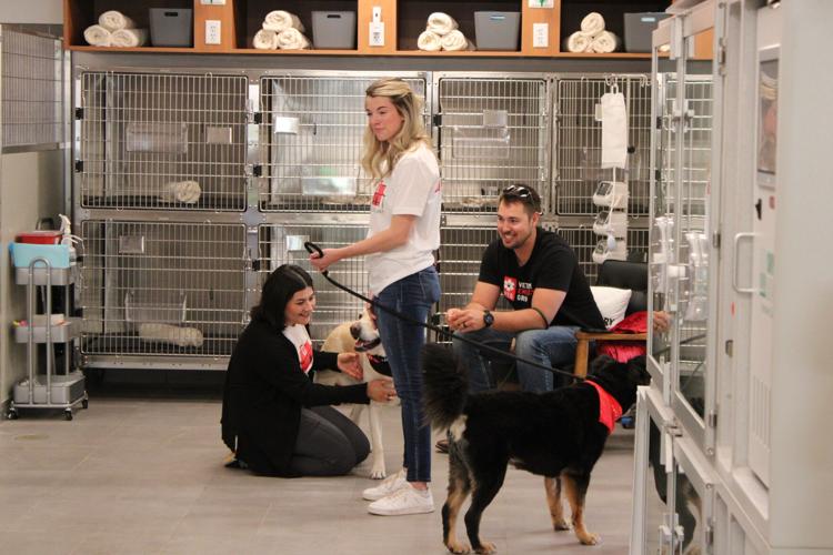 New 24/7 pet care in Mount P