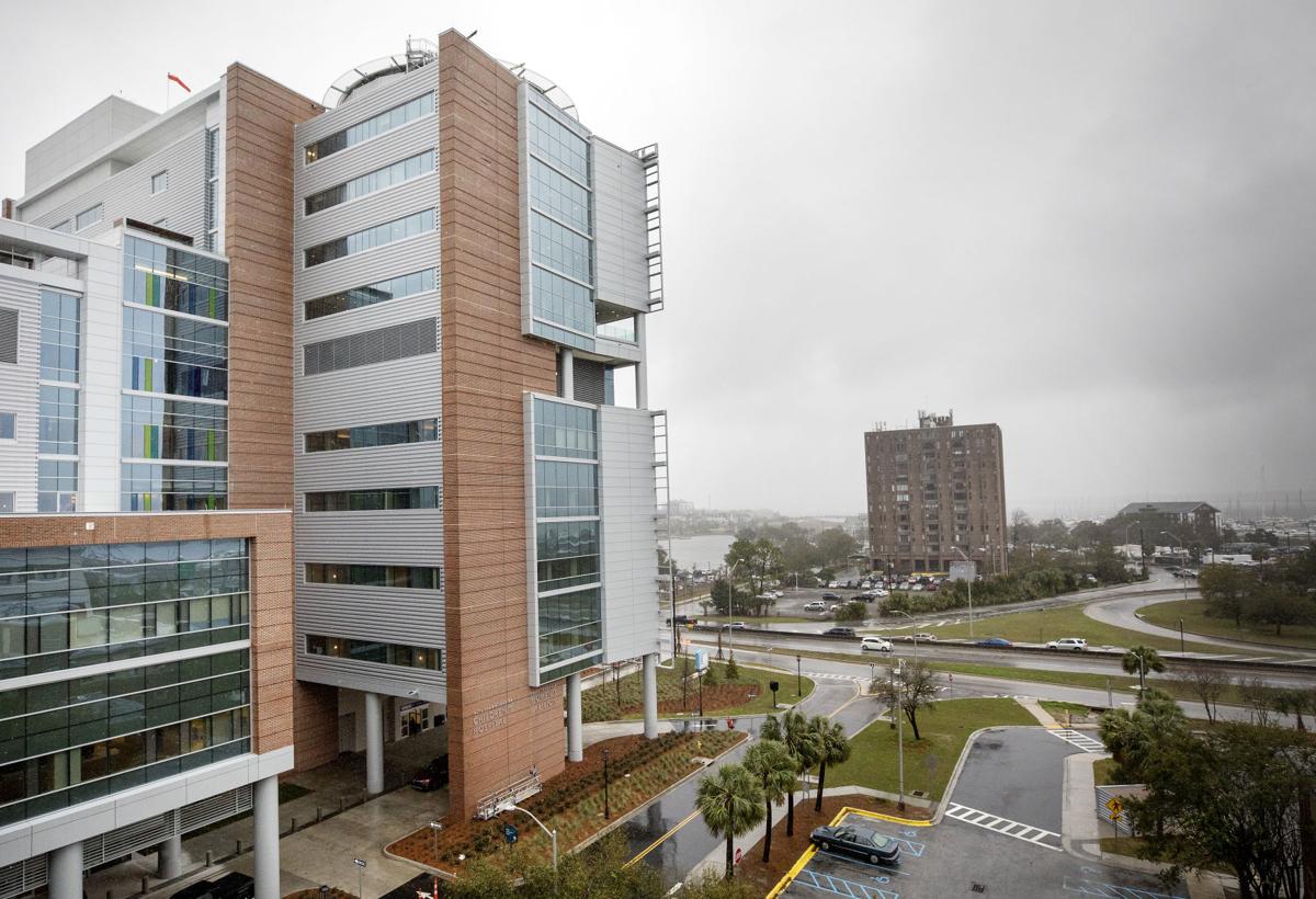 At the new MUSC Shawn Jenkins Children's Hospital, the artwork is part ...