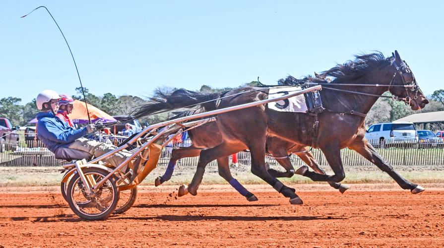 Harness Races held at McGhees' Mile in Aiken on Sunday
