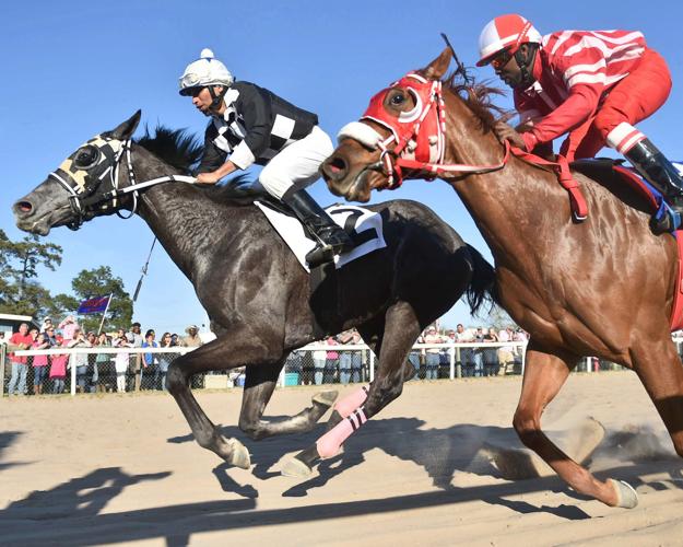 SC horse industry needs help. Is legalizing gambling the right bet?