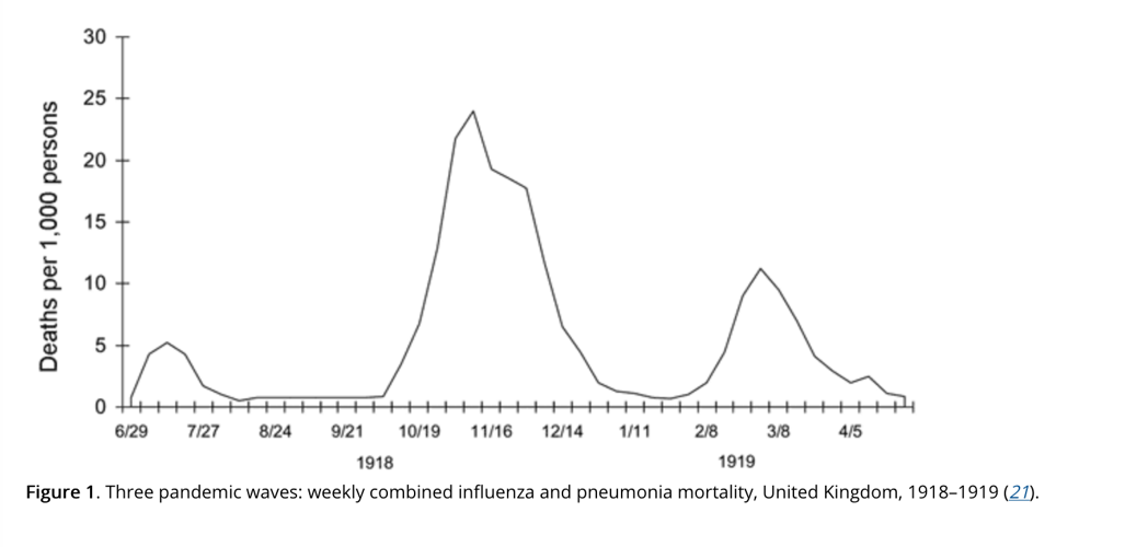 History of Spanish flu shows you should get your flu shot | News ...