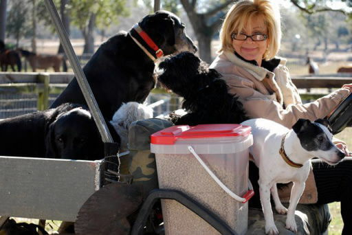 'Cha Cha Chard' off the farm and away from anchor desk