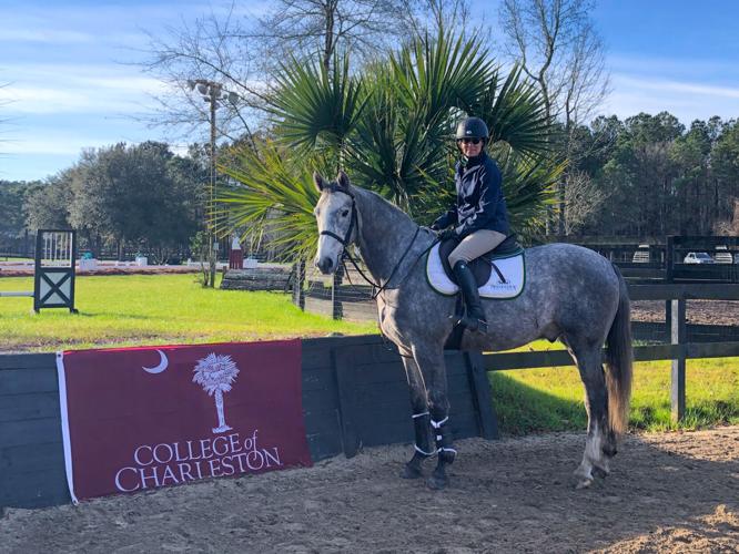 Walk, trot, canter: Mount Pleasant horse wins big in first year in the ...