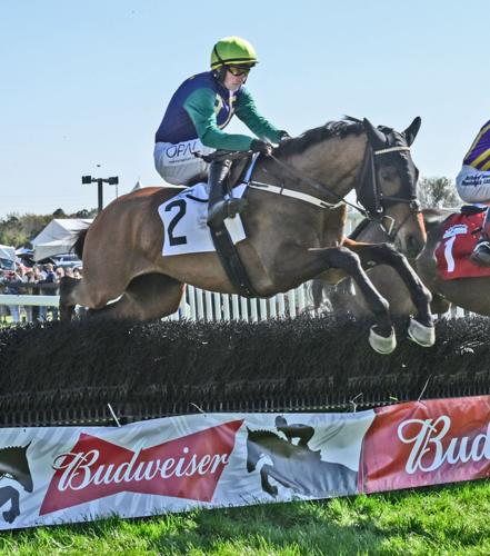 Aiken Spring Steeplechase fun for horse lovers, socializers