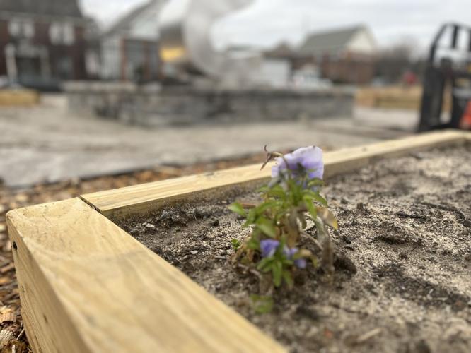 Inside Columbia's Joseph S. Azar Community Garden