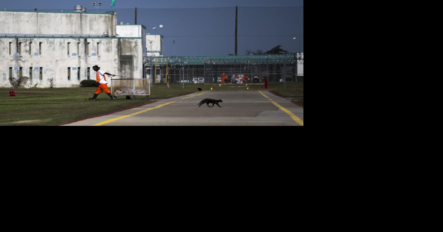 Lee inmate who killed fiancee in Columbia found dead