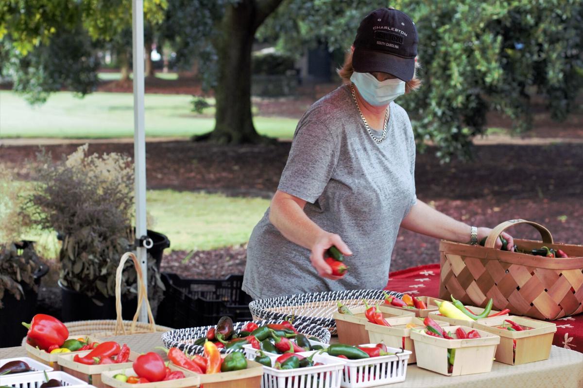 Charleston Farmers Market returns to Marion Square with limited vendors ...