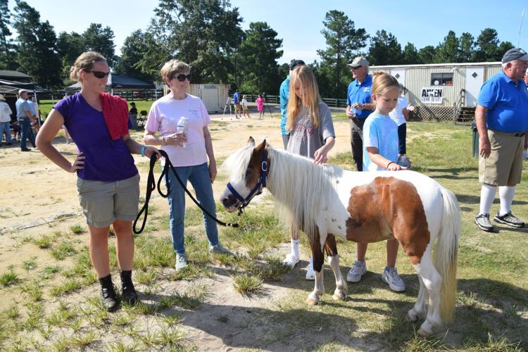 Equine Rescue of Aiken breaks ground for new rescue center at farm