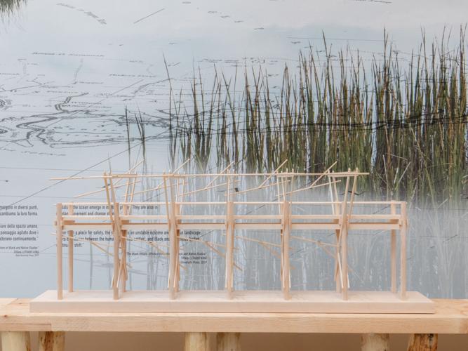 Walter Hood's exhibit on Charleston gentrification in Italy ...