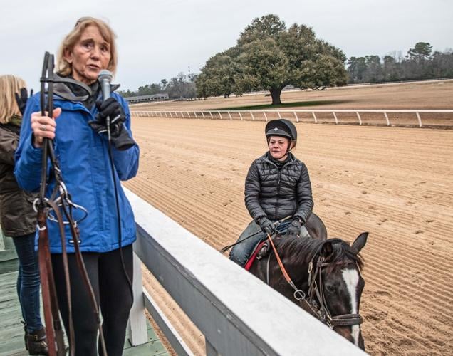 Suzy Haslup has a passion for horses