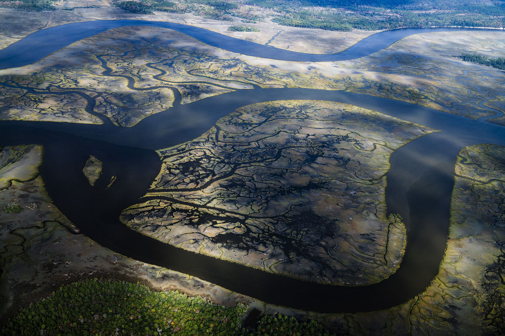 Conservation challenges in South Carolina then and now