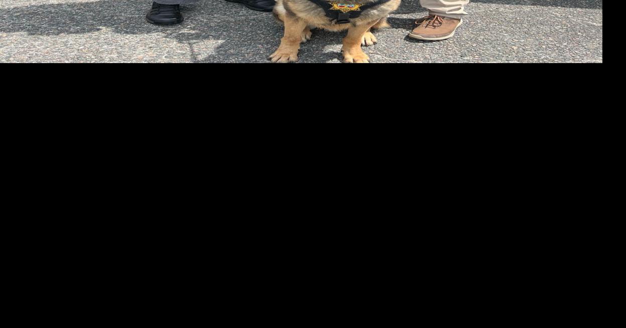 No dog and pony show: K9 Odin makes his debut