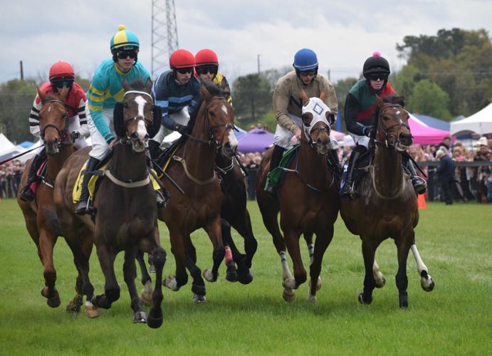 Aiken Spring Steeplechase continues Aiken Triple Crown
