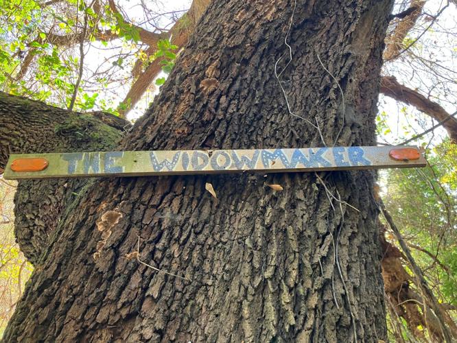 4 die in James Island car crash