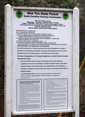 Wee Tee State Forest