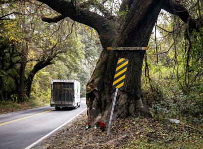 Letters: Protect drivers with barrier around James Island tree