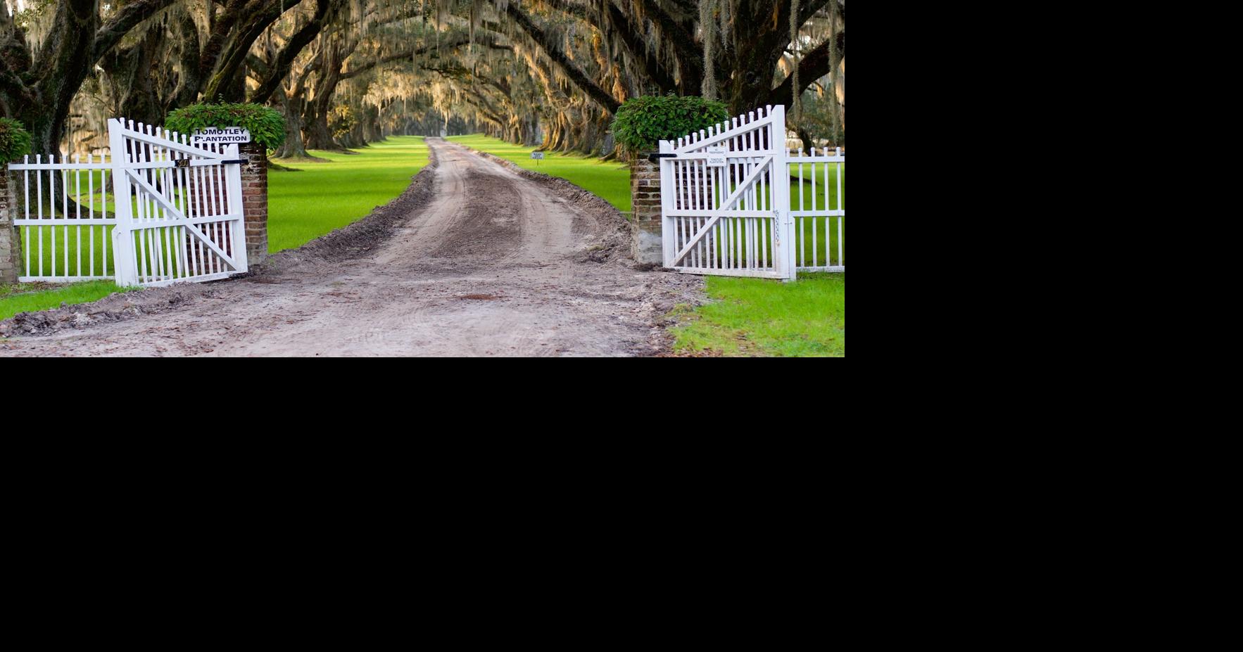 Former SC rice plantation south of Charleston fetches $7.9 million