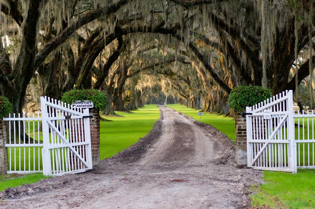 Former SC rice plantation south of Charleston fetches $7.9 million
