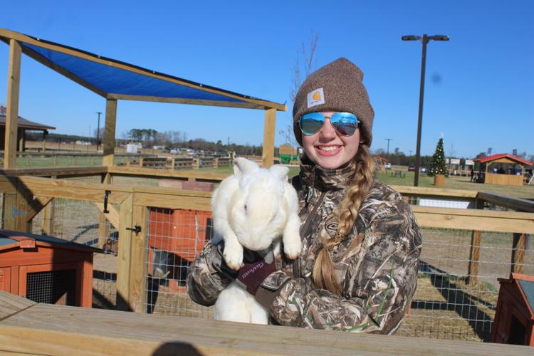 Sara's Farm Adventure celebrates Christmas with festivities