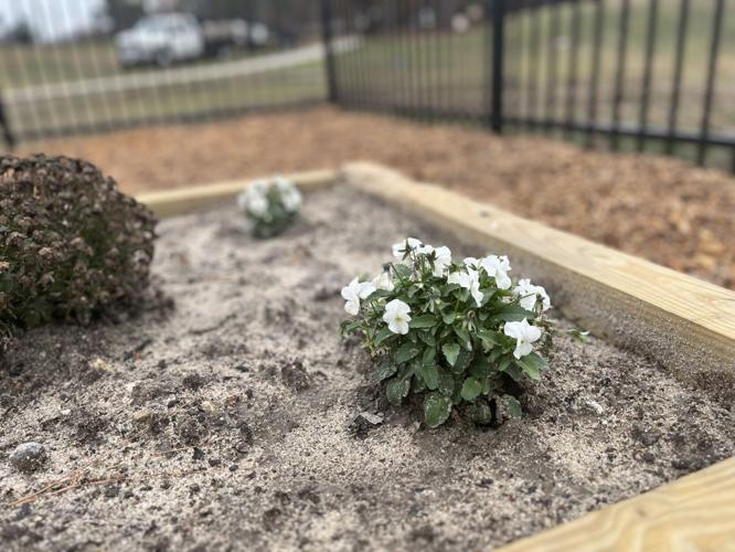 Inside Columbia's Joseph S. Azar Community Garden