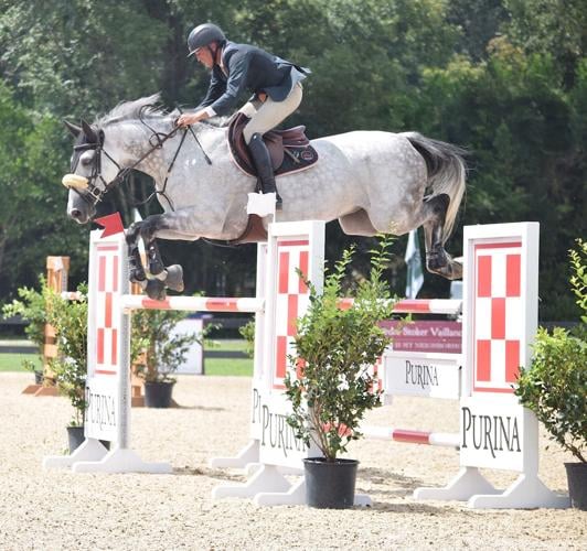 Aiken Fall Festival I horse show underway at Bruce's Field | News ...