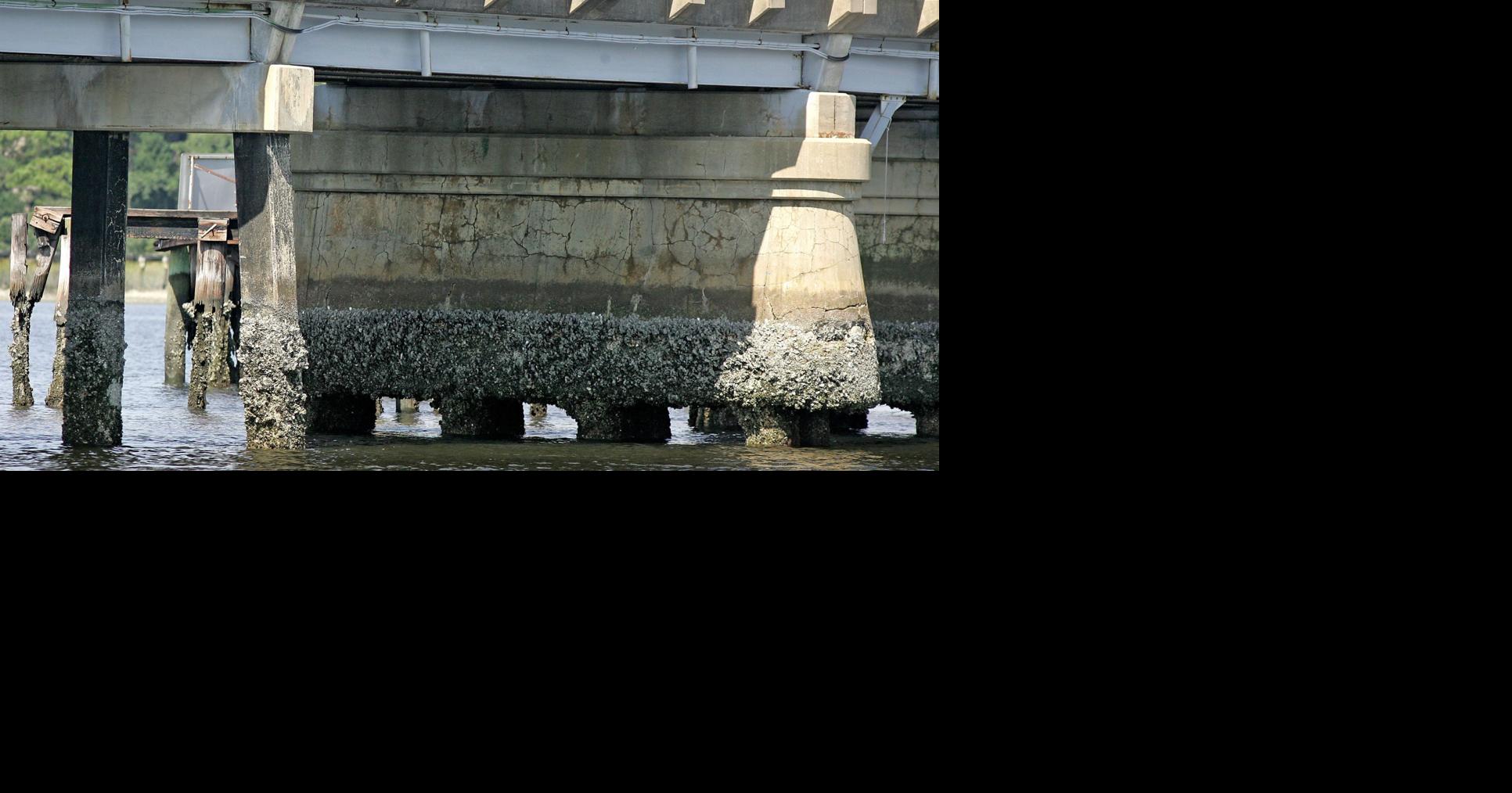 SCDOT to share plans for Wando River span | News | postandcourier.com