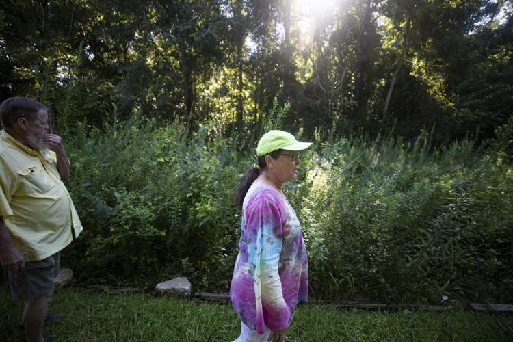 Photos: Butterflies and life abound at the Filbin Creek Nature Trail