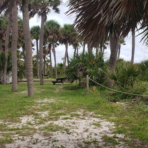 Edisto Beach has 37 public beach access spots to pick from.