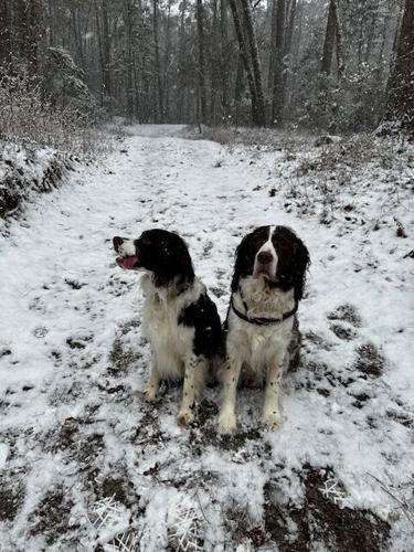Snow days: Aiken area residents enjoy the snow