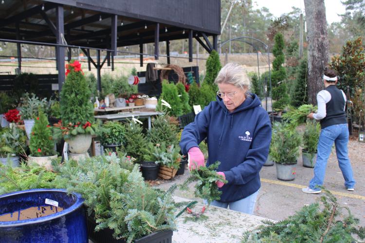 Aiken consumers begin holiday season by buying trees, plants | Aiken ...