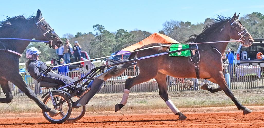 Harness Races held at McGhees' Mile in Aiken on Sunday