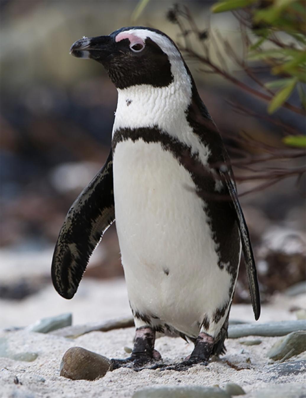 25 things to do in the Pee Dee region