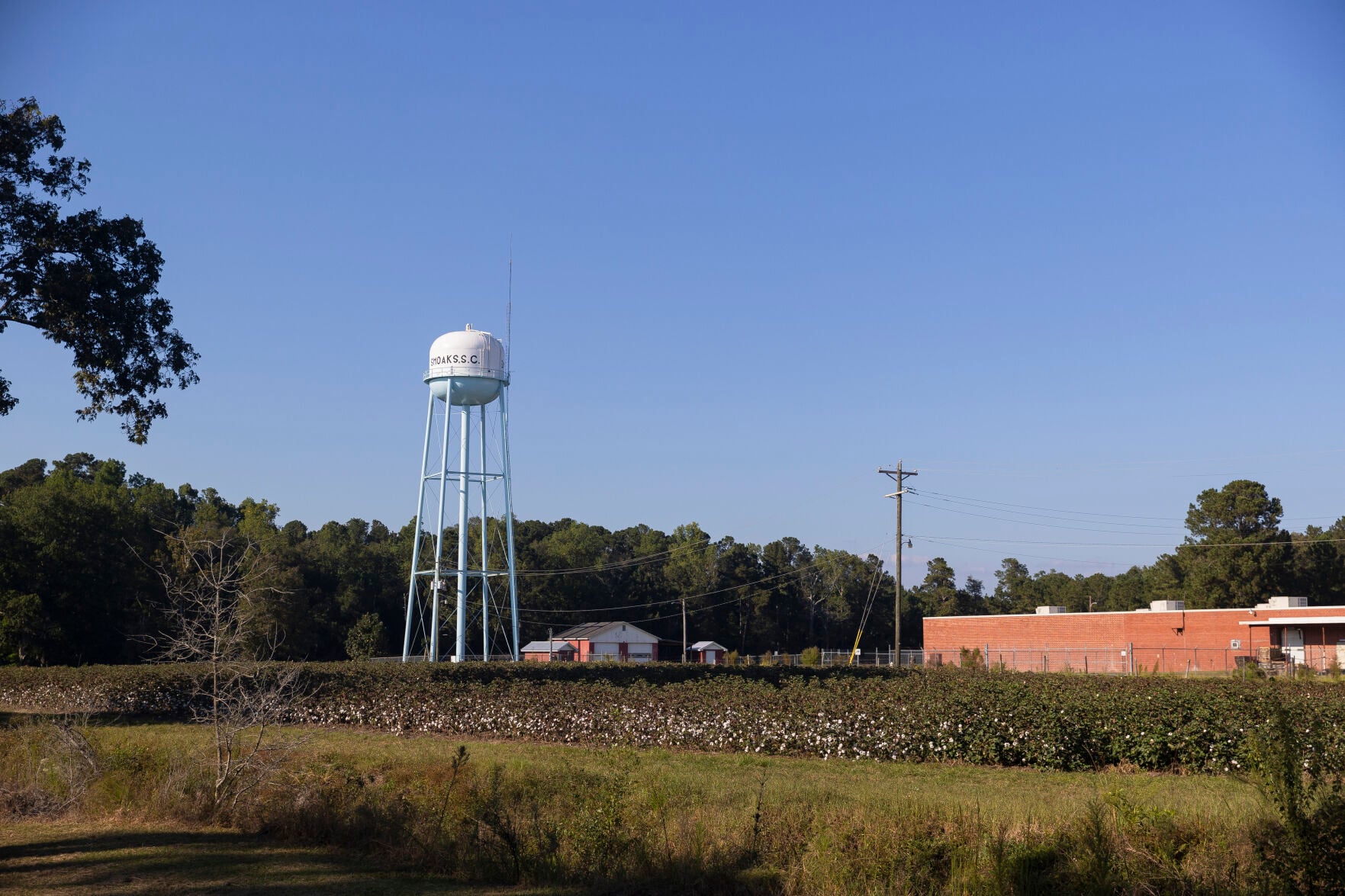 Smoaks, population 98, is known for farming, forestry and flags