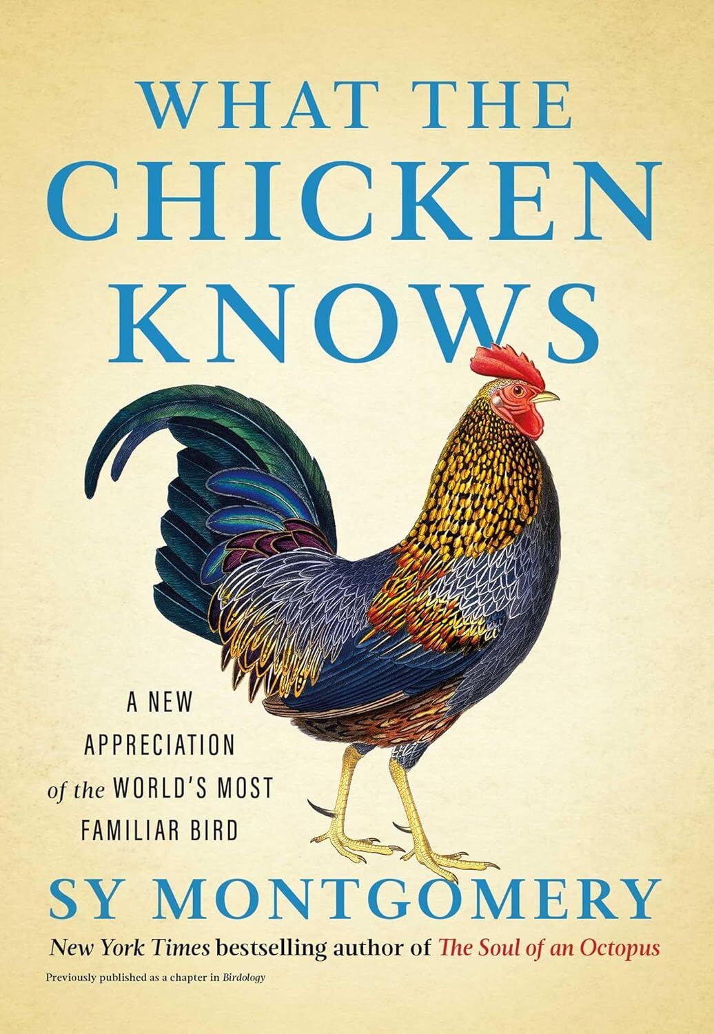 Book review: What the Chicken Knows by Sy Montgomery