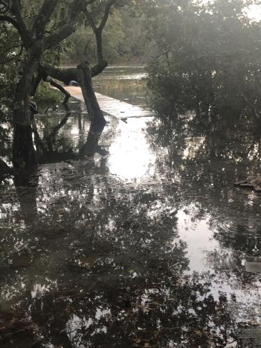 Charleston sees 6th highest tide in Holy City's history | News ...