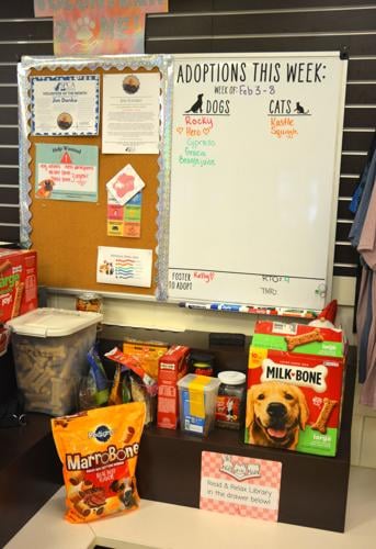 Albrecht SPCA Center celebrates 90 years of Aiken-area aid