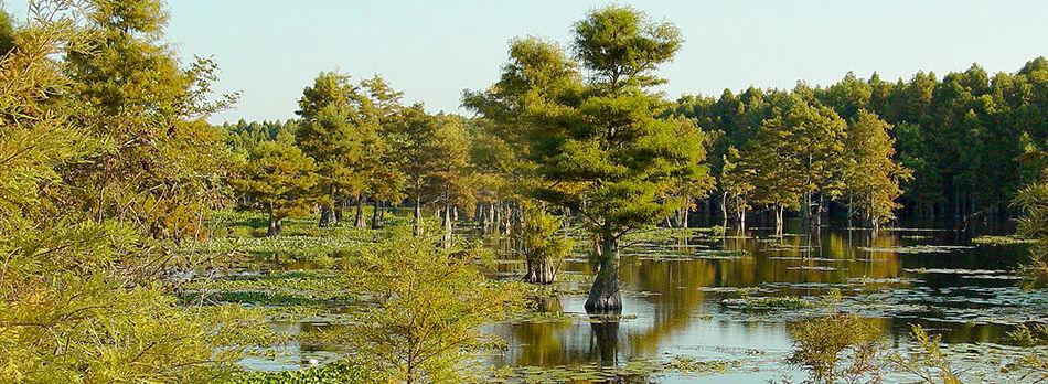 25 things to do in the Pee Dee region | 101 Things | postandcourier.com